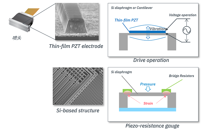 薄膜压电MEMS | 代工 | 罗姆半导体集团 - ROHM Semiconductor